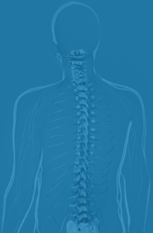 Neck Upper Back Middle Back Lower Back